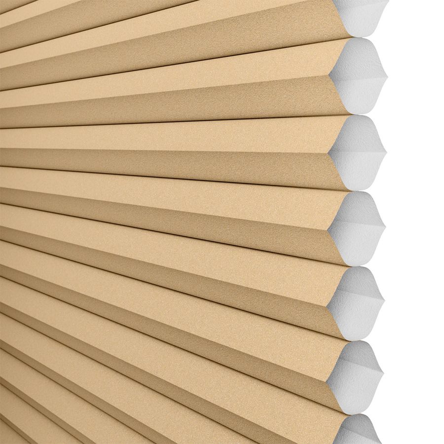 Cordless Top Down Bottom Up Light Filtering Shades | SelectBlinds.com
