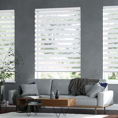 Zebra Blinds | Dual Shades | Custom Zebra Shades | SelectBlinds