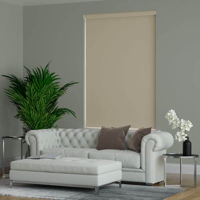 Roller Shades & Roller Window Blinds | SelectBlinds